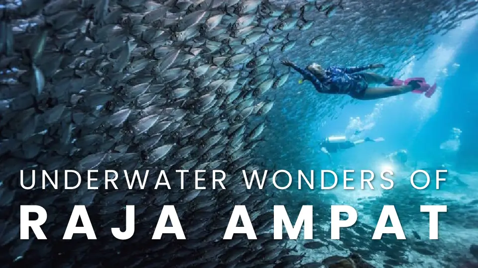 Beyond Bali: Raja Ampat’s Underwater Paradise for Sustainable Divers ...